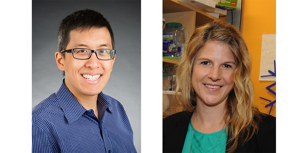 Derek Tsang and Fiona Schulte - 2019 Feature Grant Recipients - Brain ...